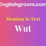 WTV Meaning in Text What It Really Stands For 📝